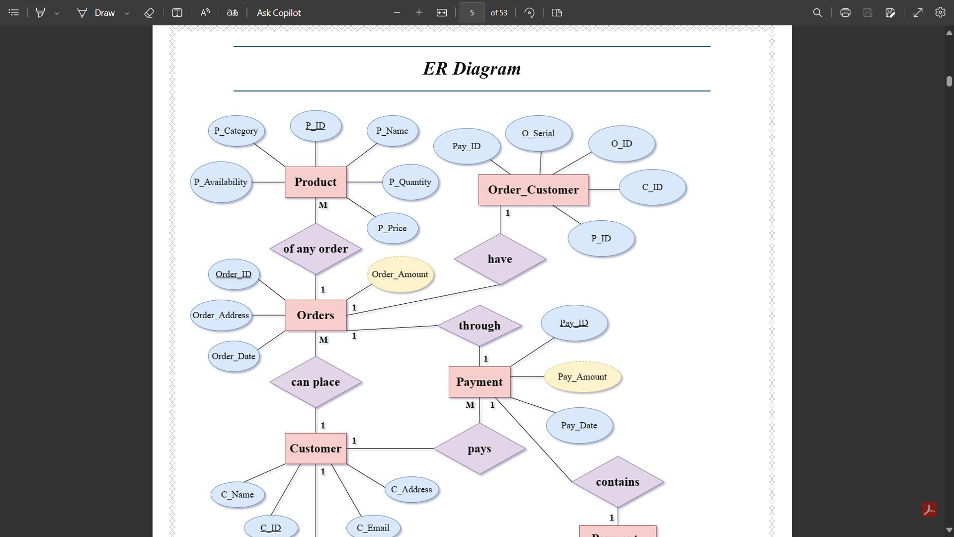 Nafis Portfolio Website